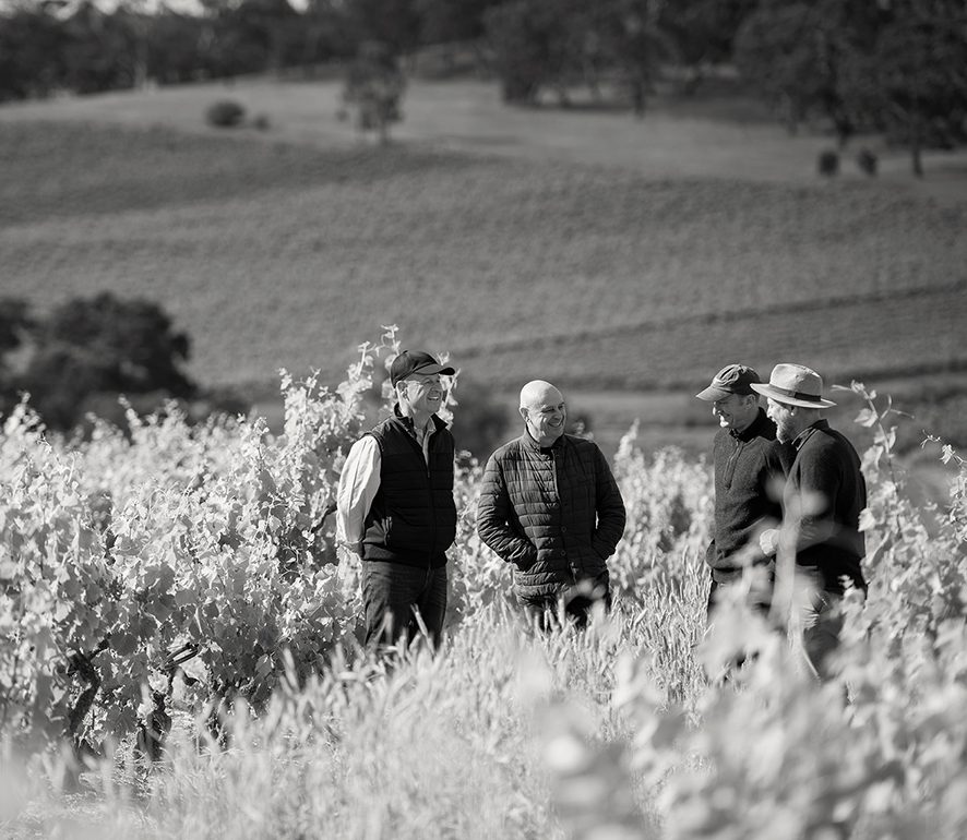 Home - MMAD Vineyard